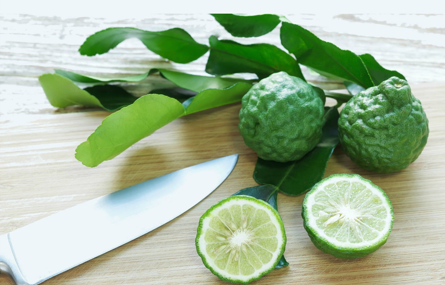 Kaffir Lime Tree