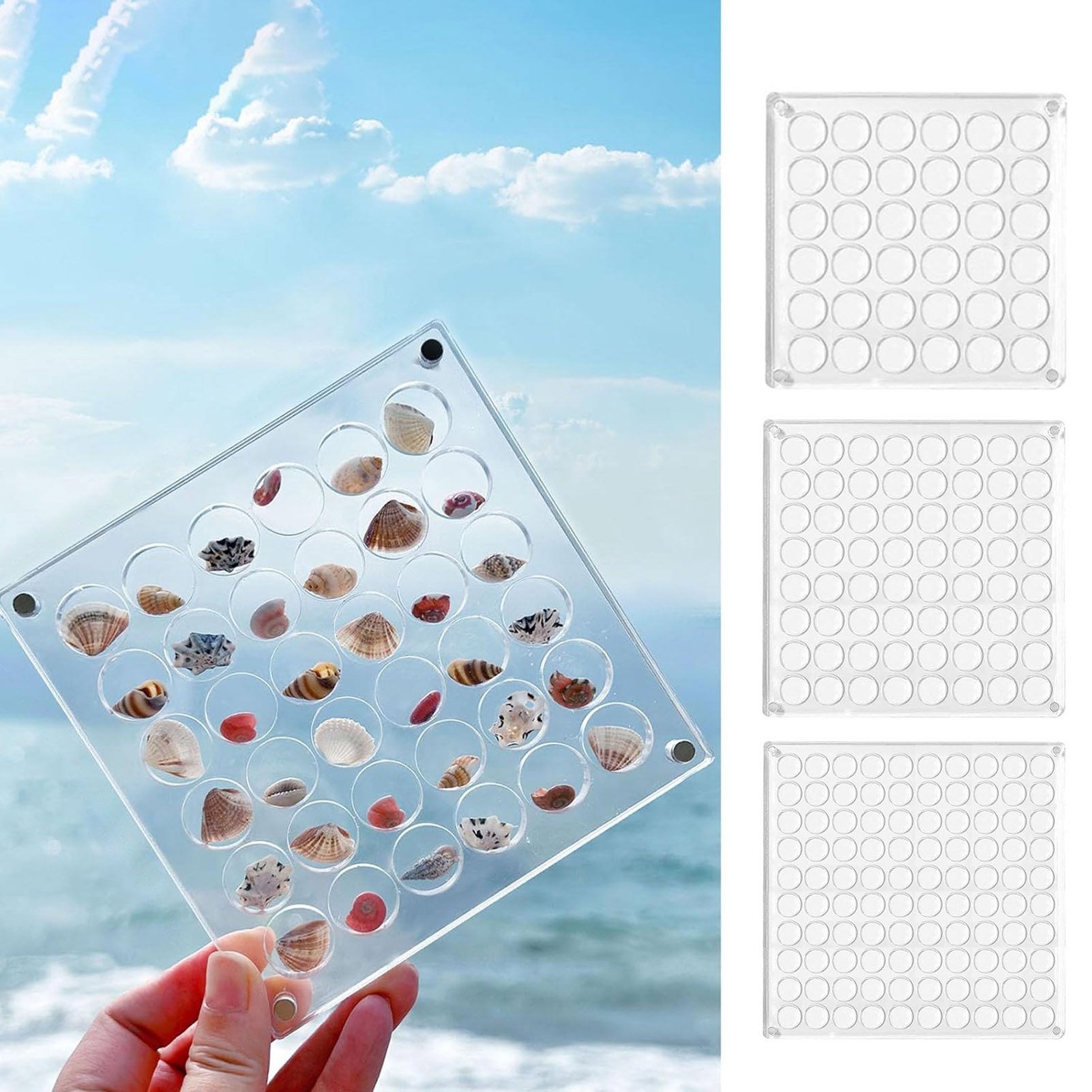 Kafvhsty Clear Acrylic Magnetic Seashell Display Box - Multiple Grids ...
