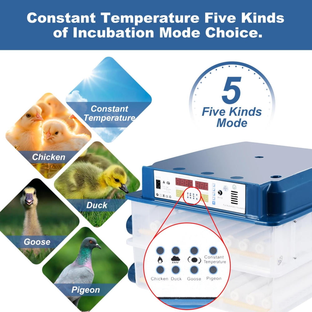 Kagrote Intelligent Poultry Hatcher with 360° Roller Tray, 12V/110V ...