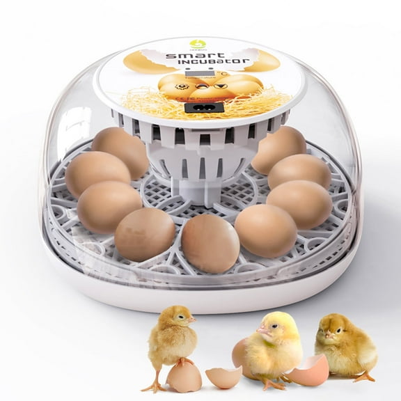 Incubators for Hatching Eggs, 12 Chicken Incubator with Automatic Egg ...
