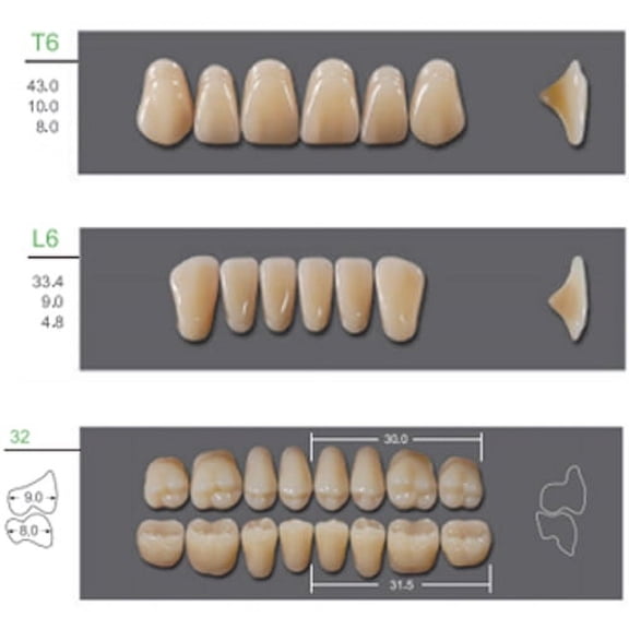 Temporary Replacement Teeth
