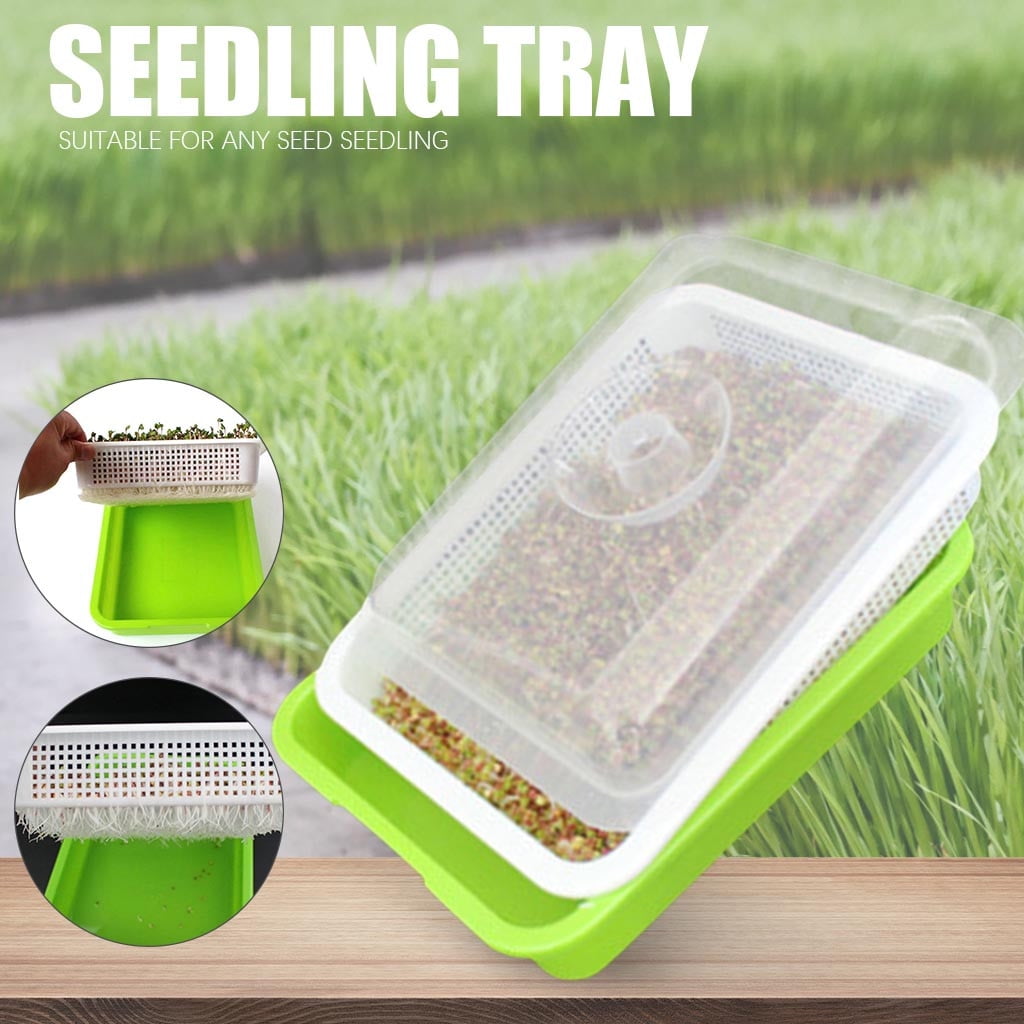 Kaireo Seedling Tray Seed Sprouter Tray Nursery Tray for Seedling Great ...