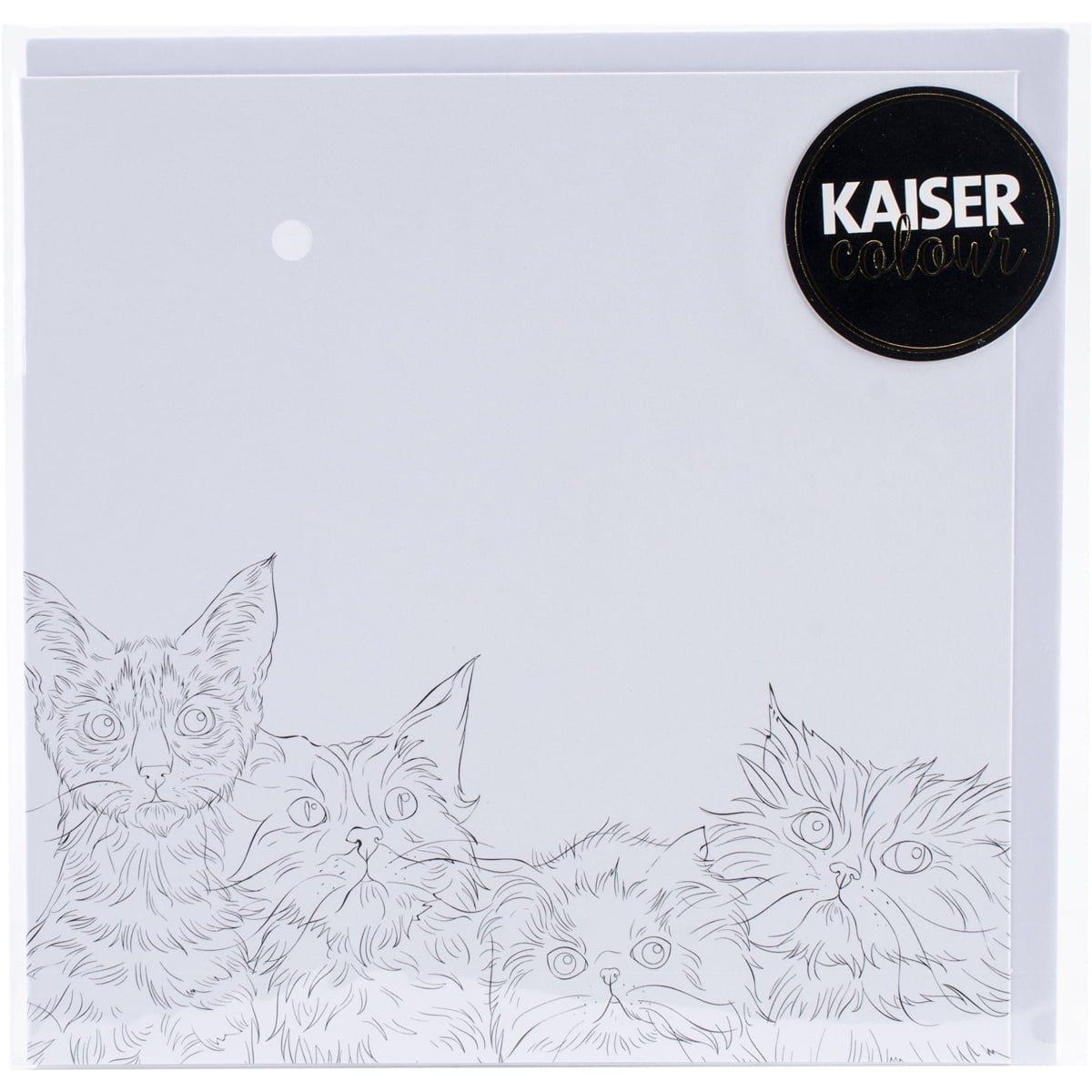 KaiserColour Gift Card W/Envelope 6"X6"-Purrfect, Pk 3, Kaisercraft ...