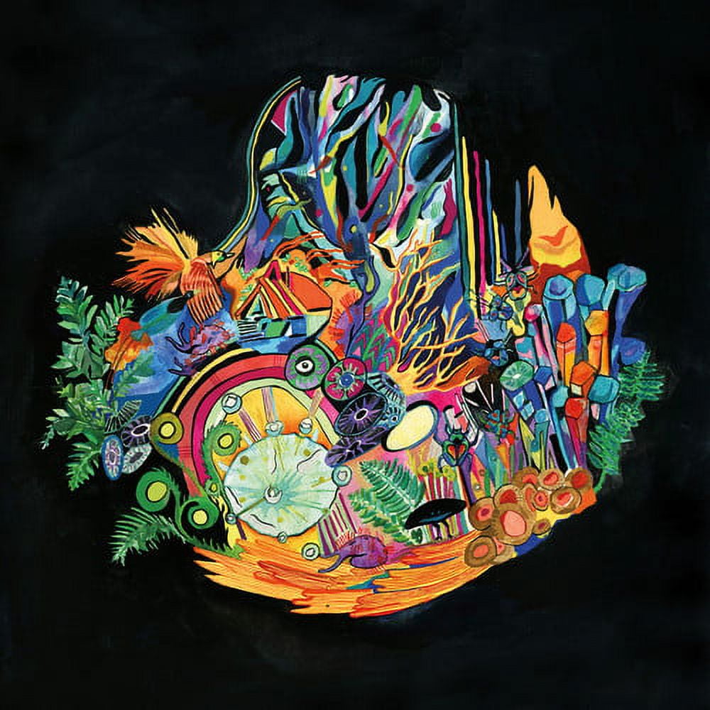 Kaitlyn Aurelia Smith - Ears - Music & Performance - Vinyl - Walmart.com