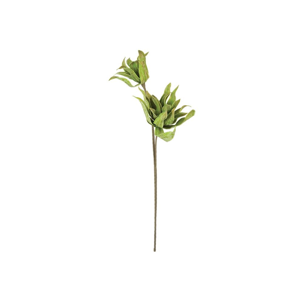 BOTANICA #2654 - Walmart.com