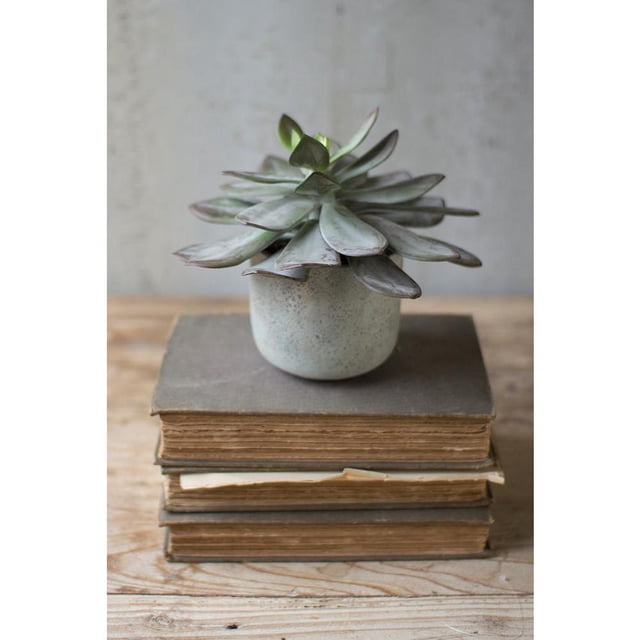 Kalalou Inc Succulent With Cement Pot - Walmart Business Supplies