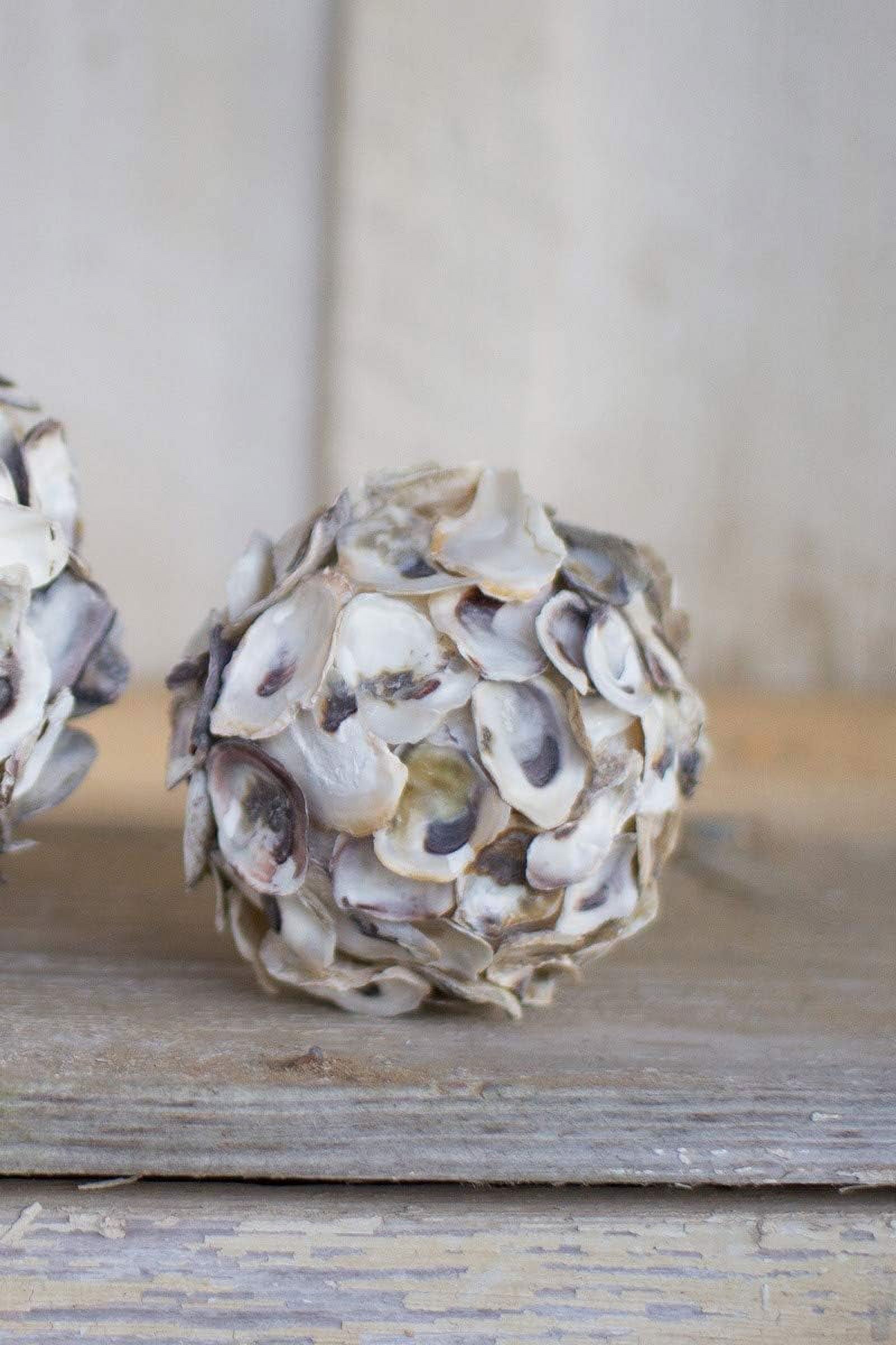 Kalalou PGT1010 Oyster Shell Sphere, White - Walmart.com