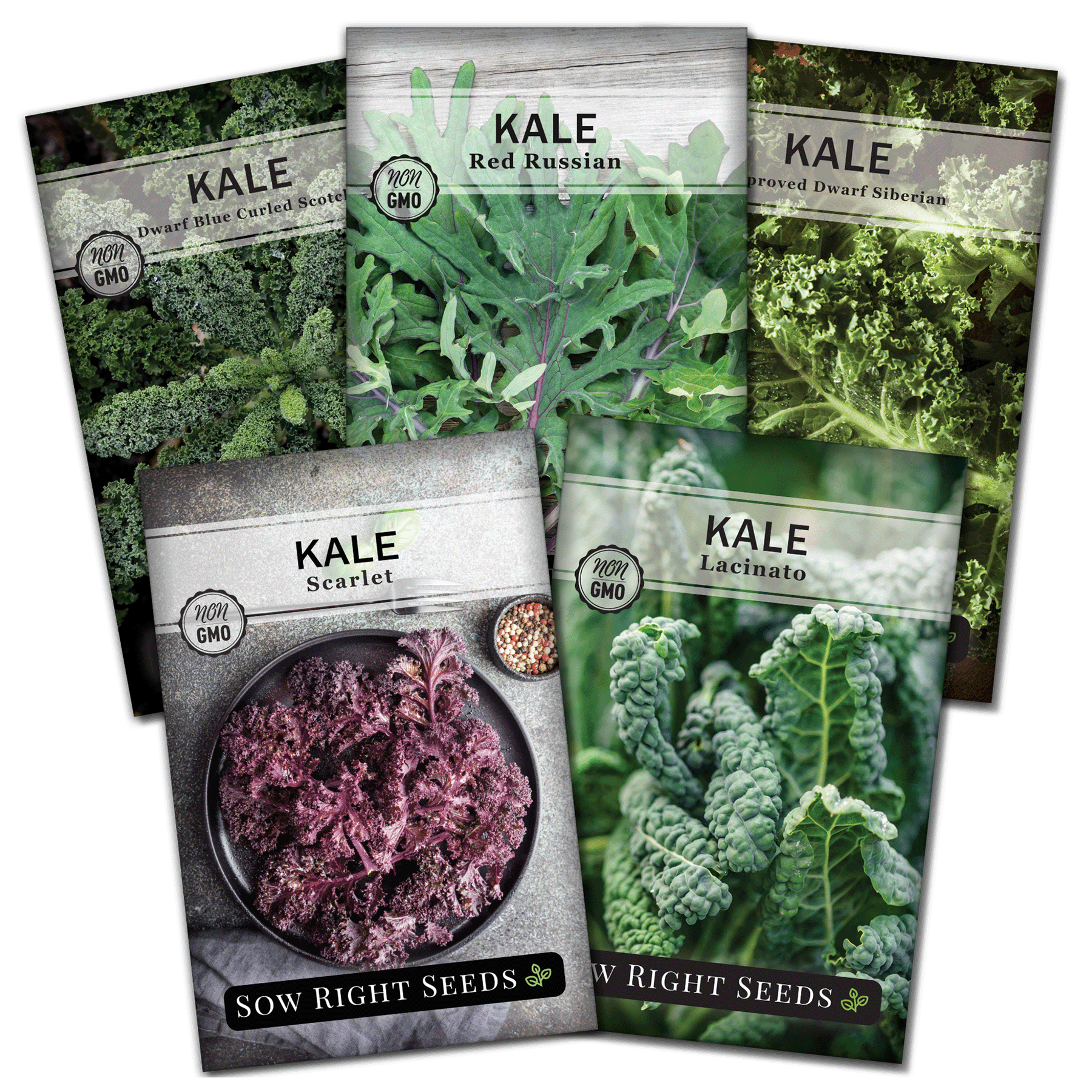 Kale Seed Collection - Non GMO Heirloom Varieties for your Home ...