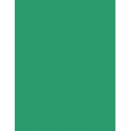 Springhill Digital Opaque Colors Copy Paper 60 lbs. 8.5" x 11 ...