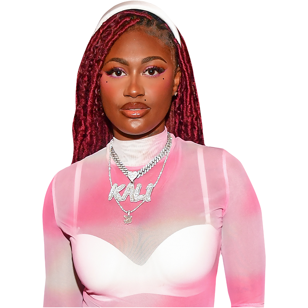 Kaliya Ashley Ross (Pink) Half Body Buddy Cutout - Walmart.com