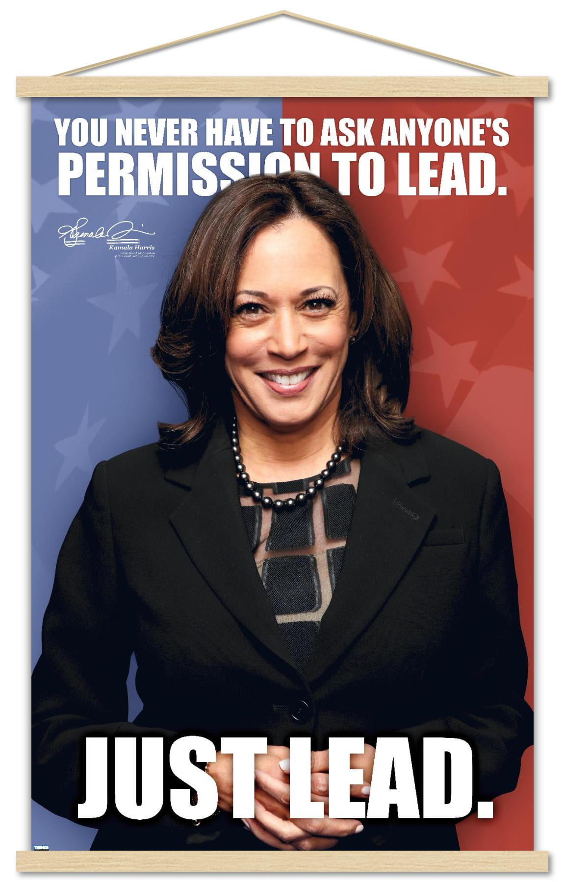 Kamala Harris - 2021 Vice President Wall Poster with Magnetic Frame, 22 ...