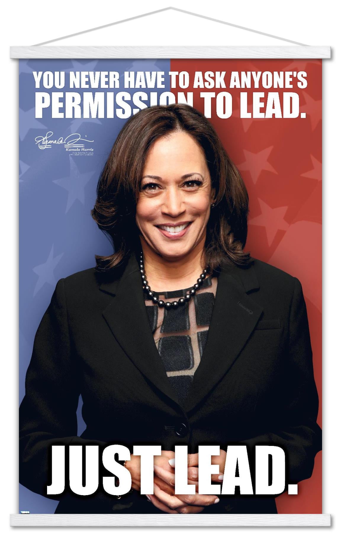 Kamala Harris - 2021 Vice President Wall Poster with Magnetic Frame, 22 ...