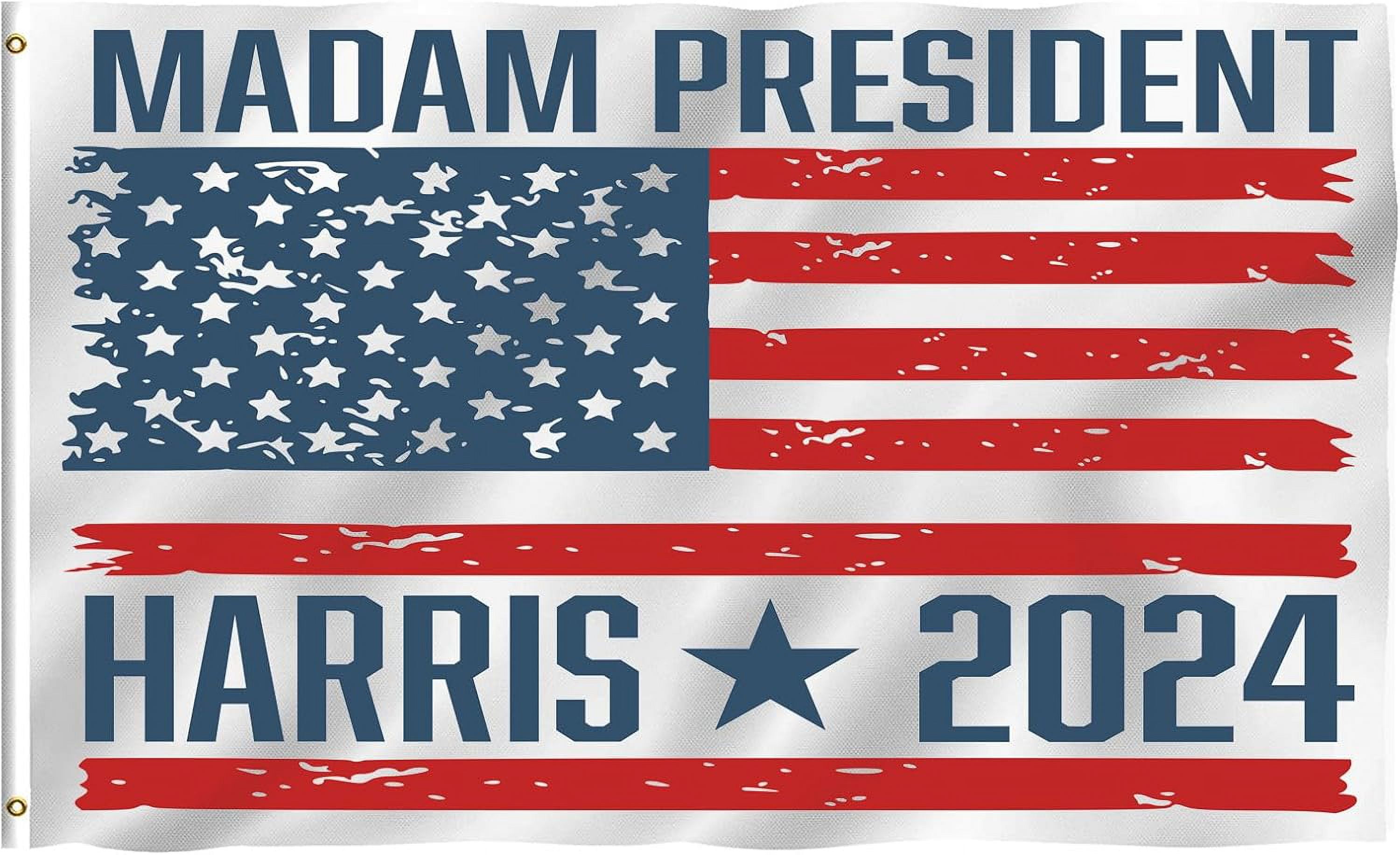 Kamala Harris 2024 Flag, Madam President Flags, Vivd Color and Fade ...