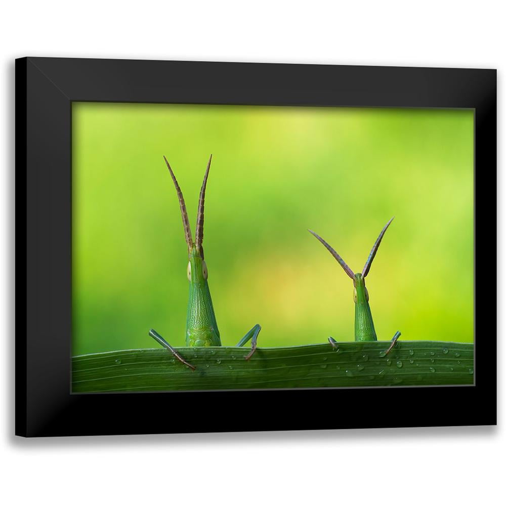Kamran, Mehdi 18x14 Black Modern Framed Museum Art Print Titled - Macro ...