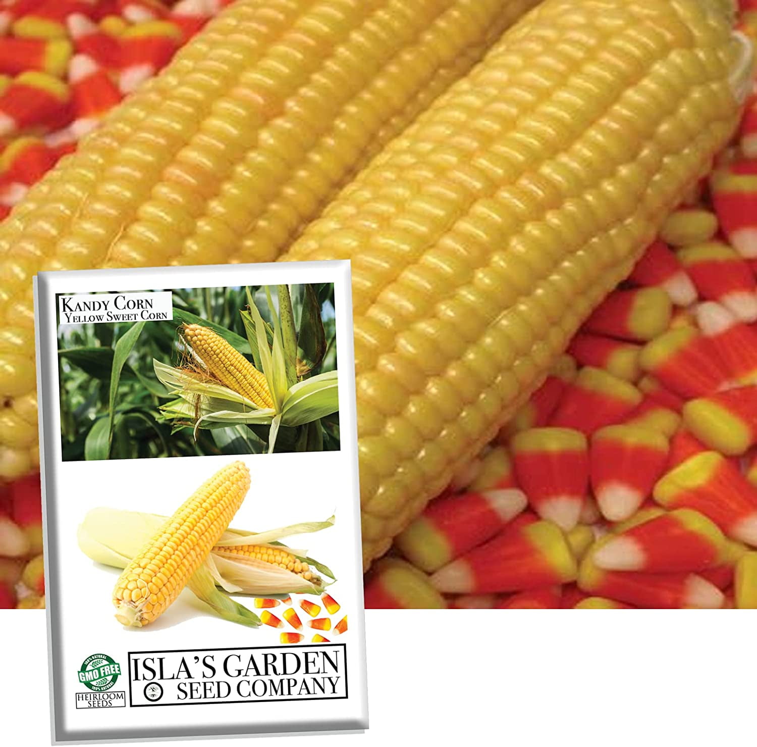 Kandy Corn Sweet Corn Seeds, 25 Heirloom Seeds Per Packet, Non GMO ...