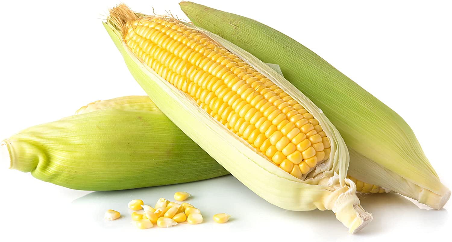 Kandy Korn Hybrid Corn Garden Seeds - 1 Lb - Non-GMO Vegetable ...