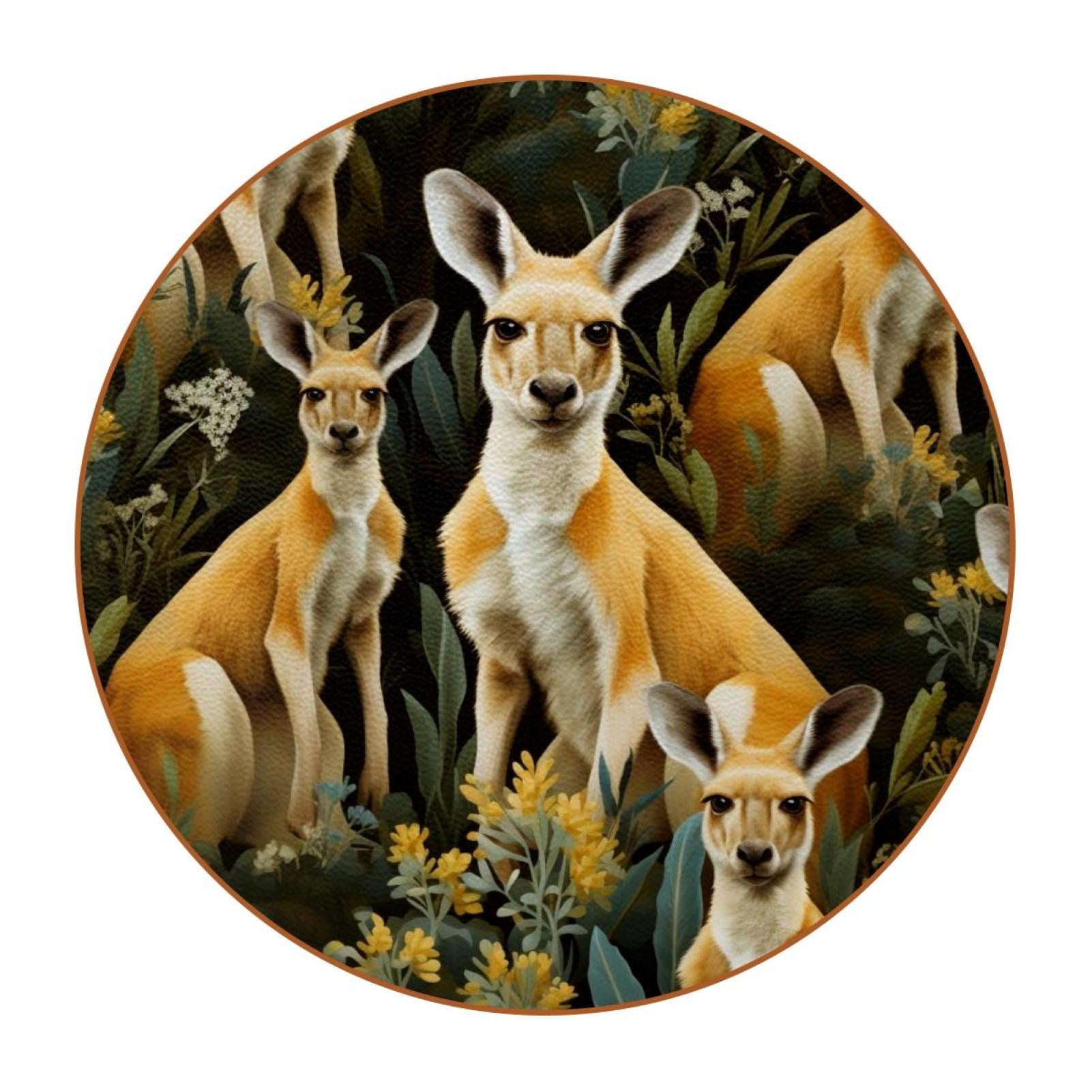 Kangaroo 6PCS Round Microfiber Leather Coasters 11x11 cm/4.3x4.3 in ...
