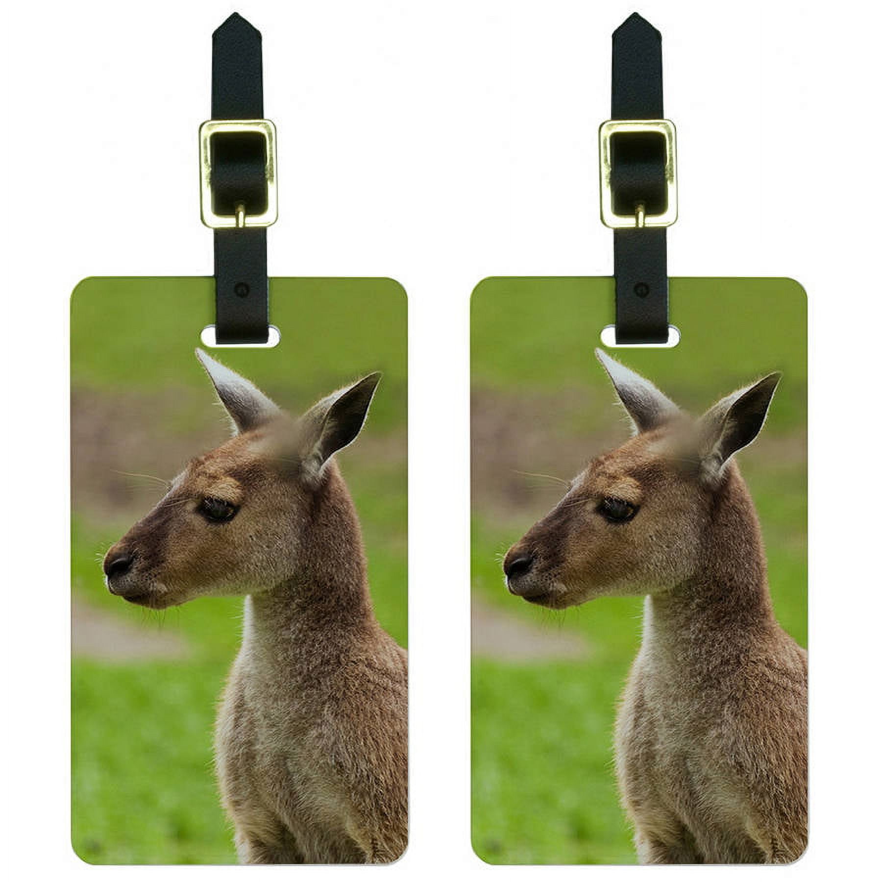Kangaroo Australia Australian Luggage Tags Suitcase Carry-On ID, Set of ...