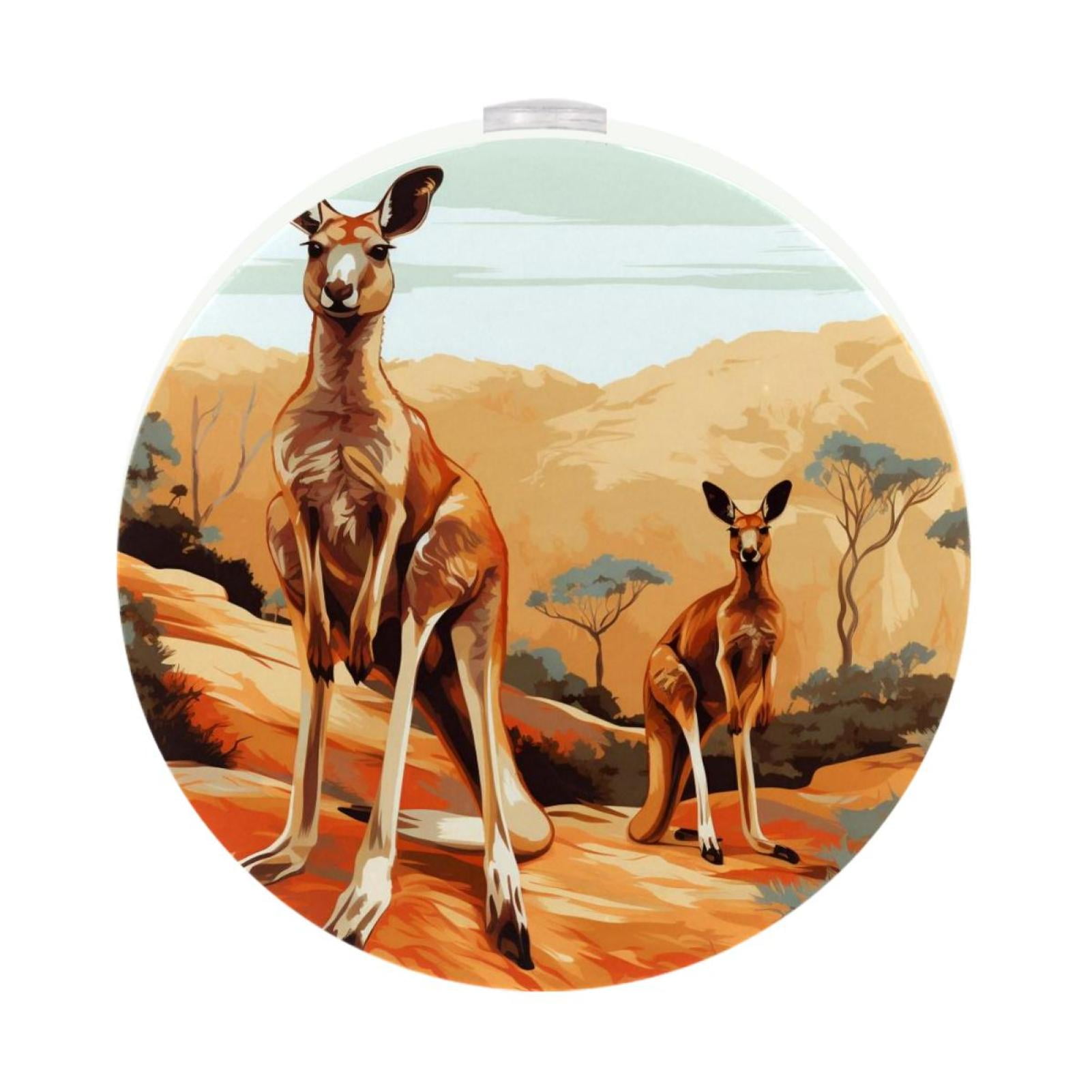 Kangaroo Bright and Compact LED Round Night Light - Set of 2, Energy ...