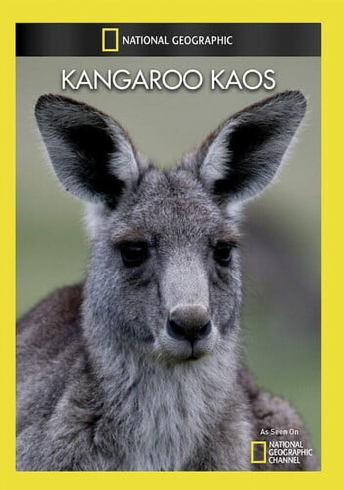 Kangaroo Kaos (DVD), National Geographic, Documentary - Walmart.com