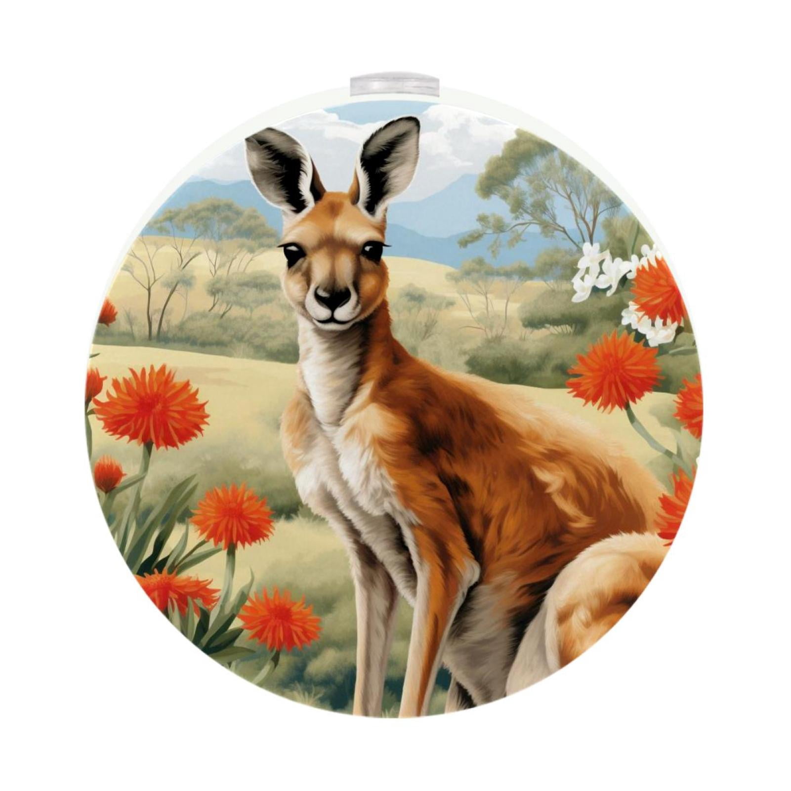 Kangaroo LED Round Night Light-2PCS, Energy Efficient Plug-in Bedroom ...