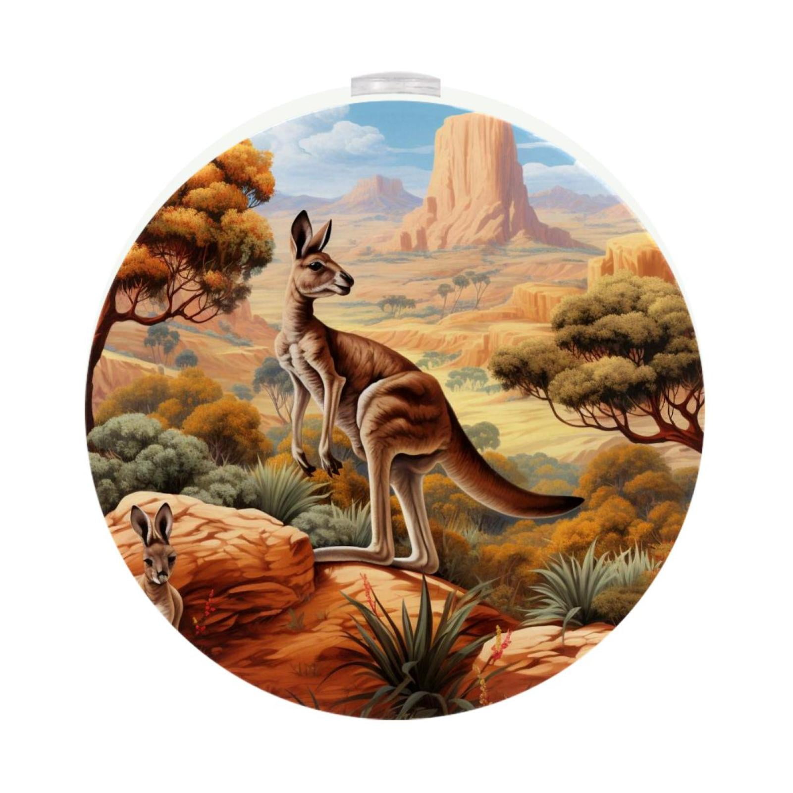 Kangaroo LED Round Night Light- Set of 2, Portable Rechargeable Mini ...