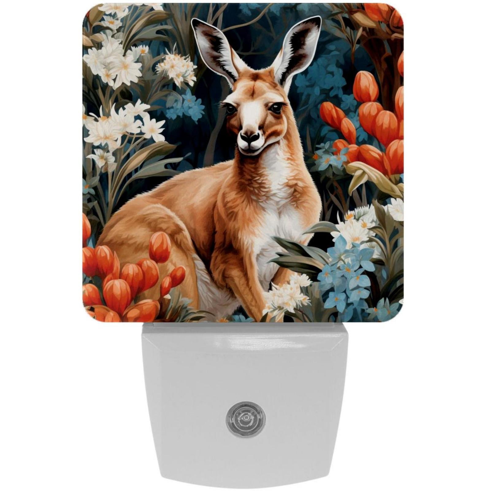 Kangaroo LED Square Night Lights - Bright and Compact Bedroom or ...