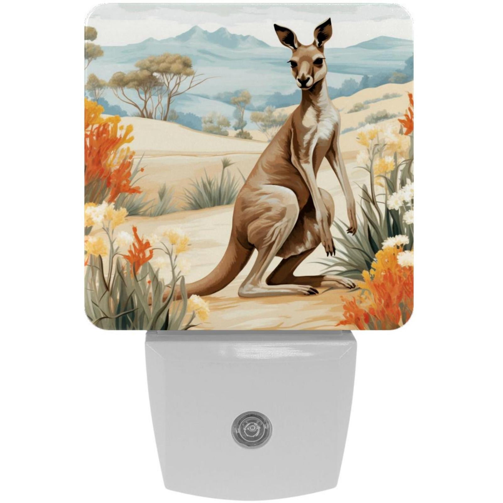 Kangaroo LED Square Night Lights - Compact and Multifunctional ...