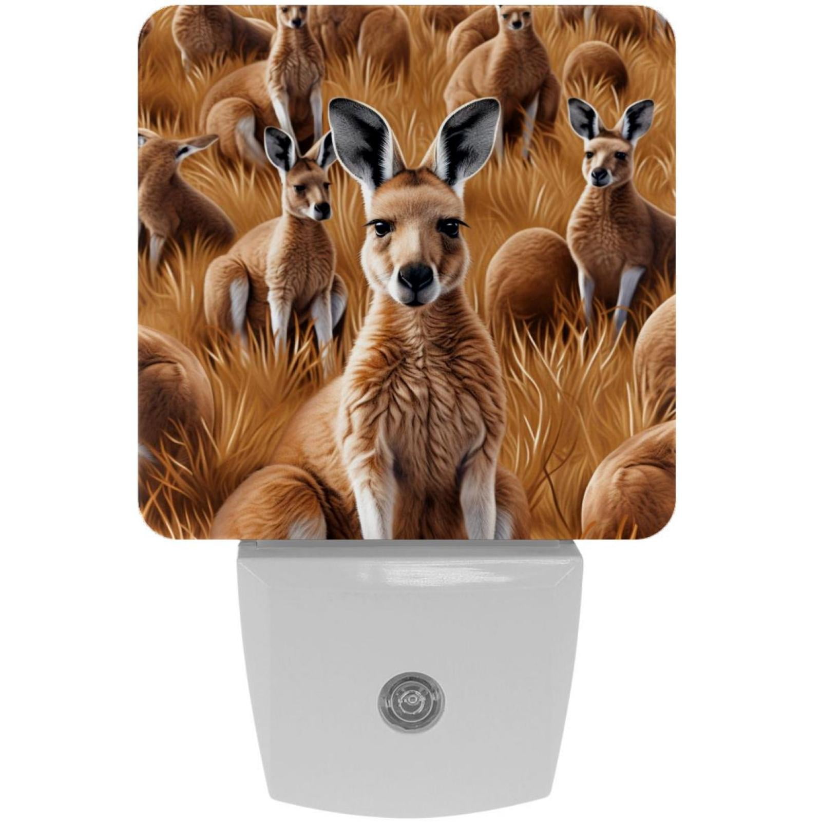 Kangaroo LED Square Night Lights - Compact and Multifunctional ...