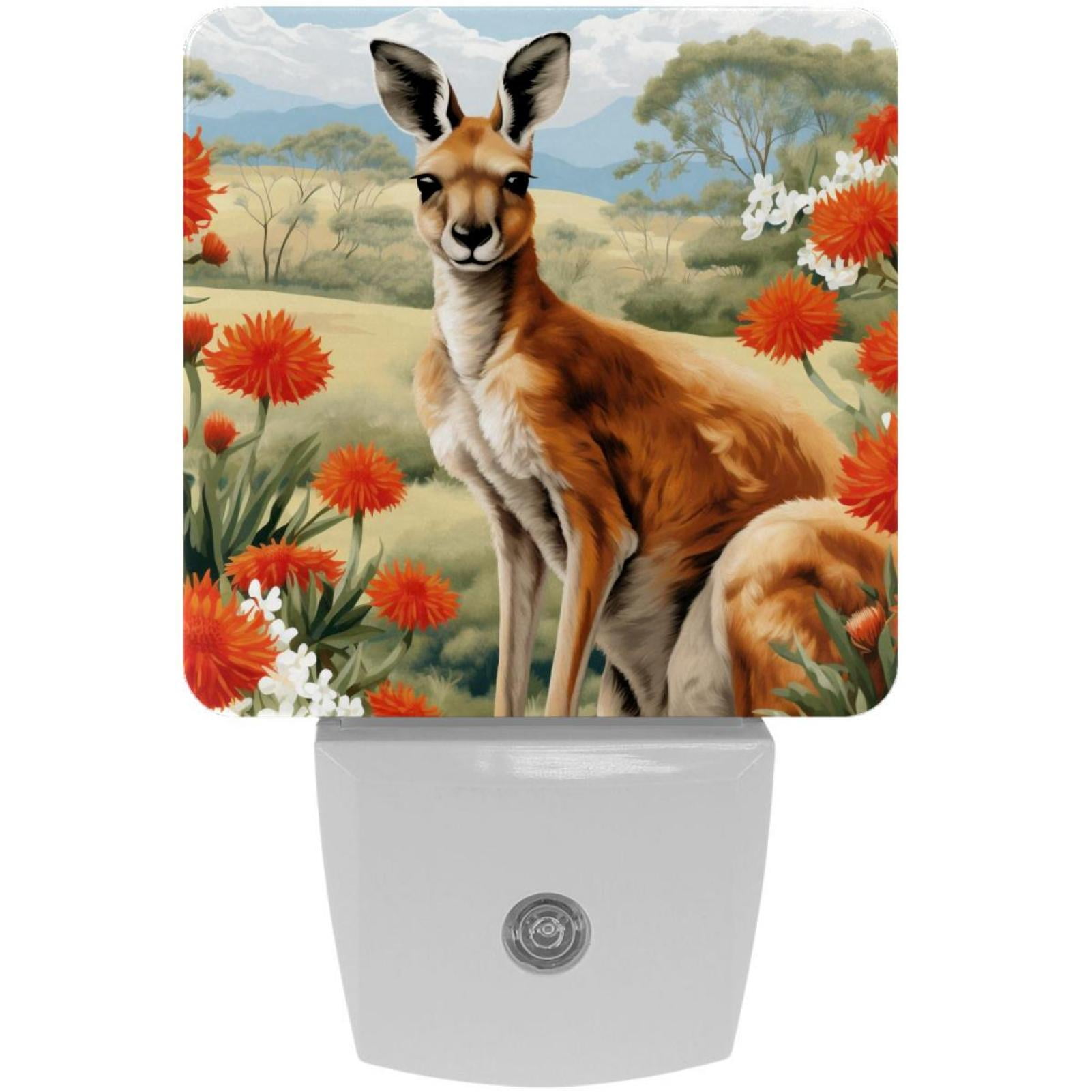 Kangaroo LED Square Night Lights - Elegant and Energy Efficient ...