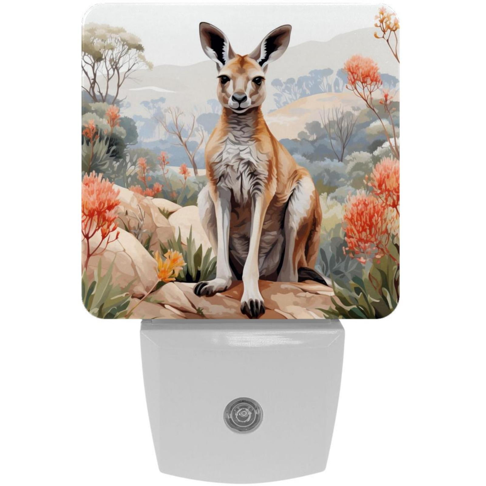 Kangaroo LED Square Night Lights - Energy Efficient & Elegant ...