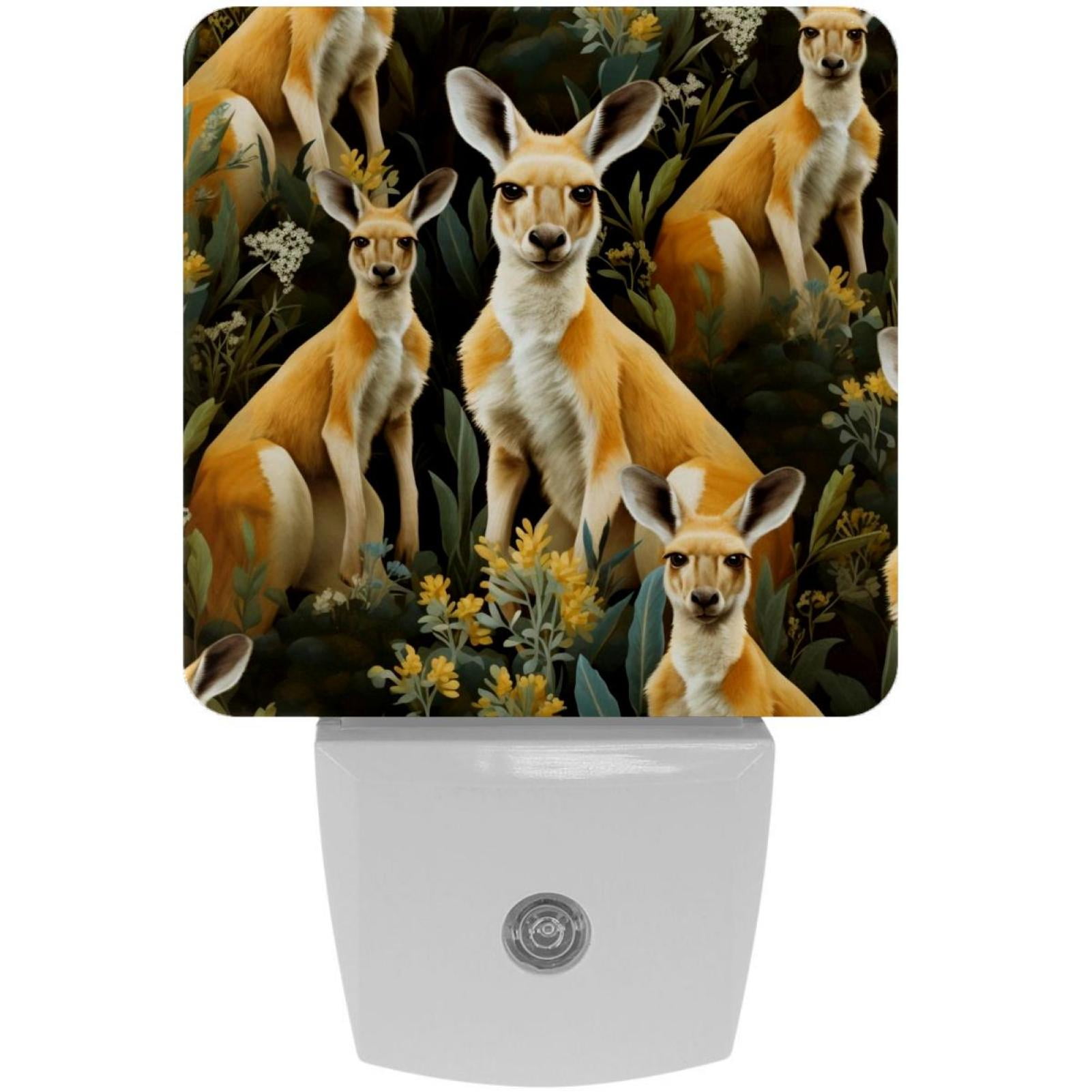 Kangaroo LED Square Night Lights - Modern and Versatile Plug-in ...