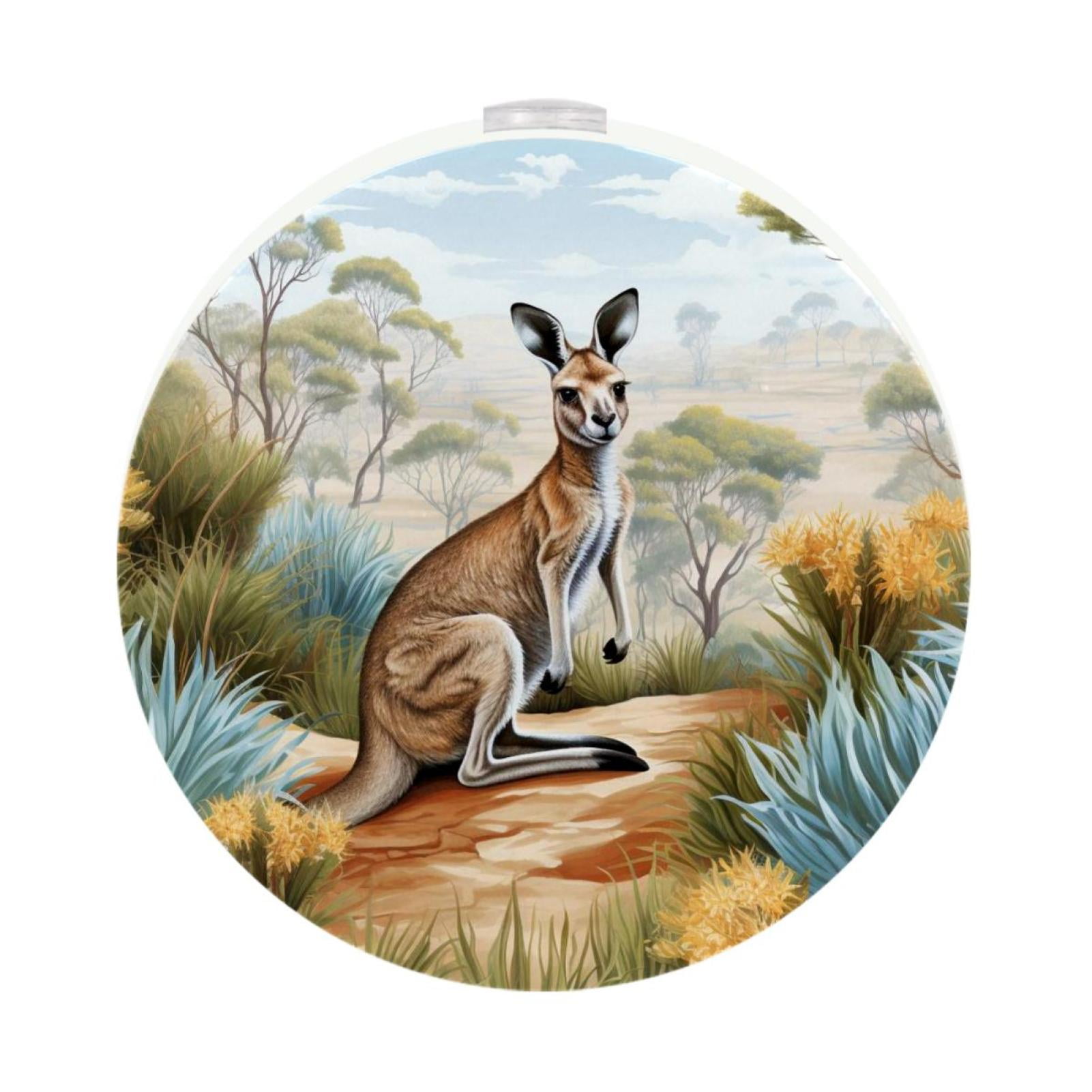 Kangaroo Led Round Night Light-2pcs, Portable Stick on Night Lamp for ...