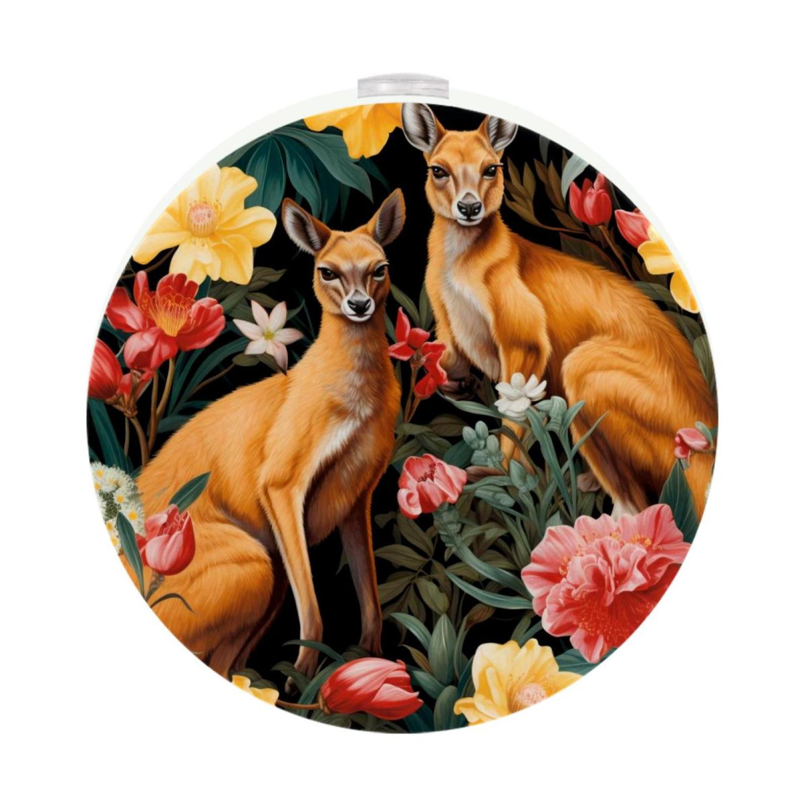 Kangaroo Led Round Night Light-2pcs Set, Battery Powered Mini Portable ...