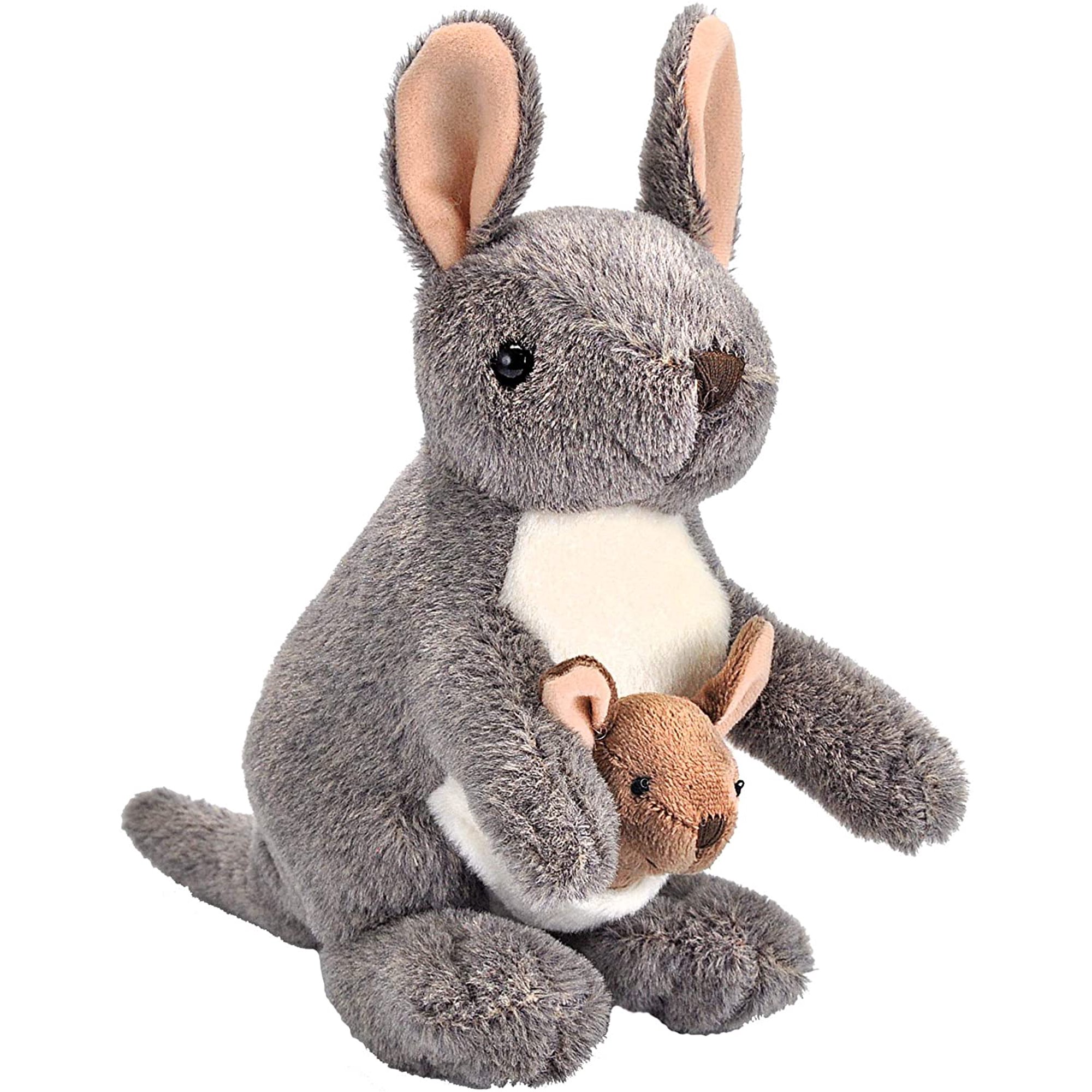 Miniature Kangaroo Pet