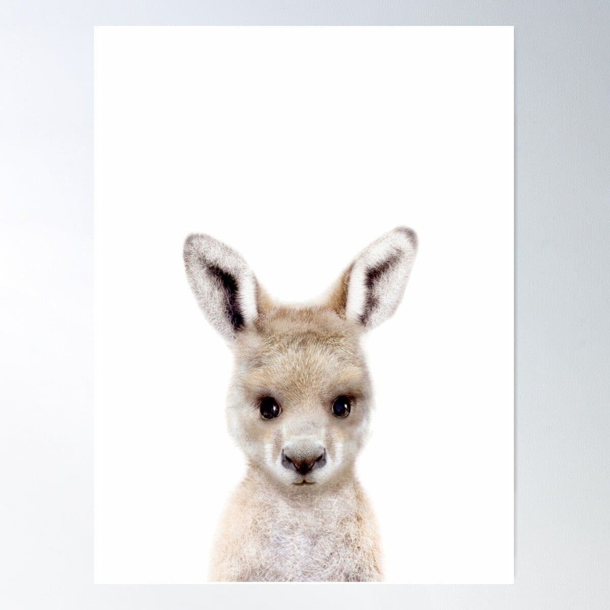 Kangaroo Poster Wall Art, Modern Wall Decor For Living Room Bedroom ...