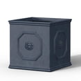 Kante Square Lion Head Concrete Planter, Classic English Style Plant ...