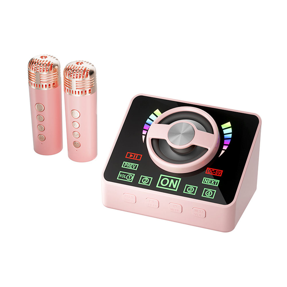 Karaoke Machine,Ktv Set With 2 Mic Birthday Set With Handheld Mic ...