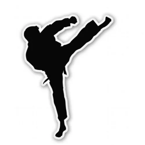 Karate Car Sticker Phone Decal Water Bottle Stickers Car Decals, Laptop ...