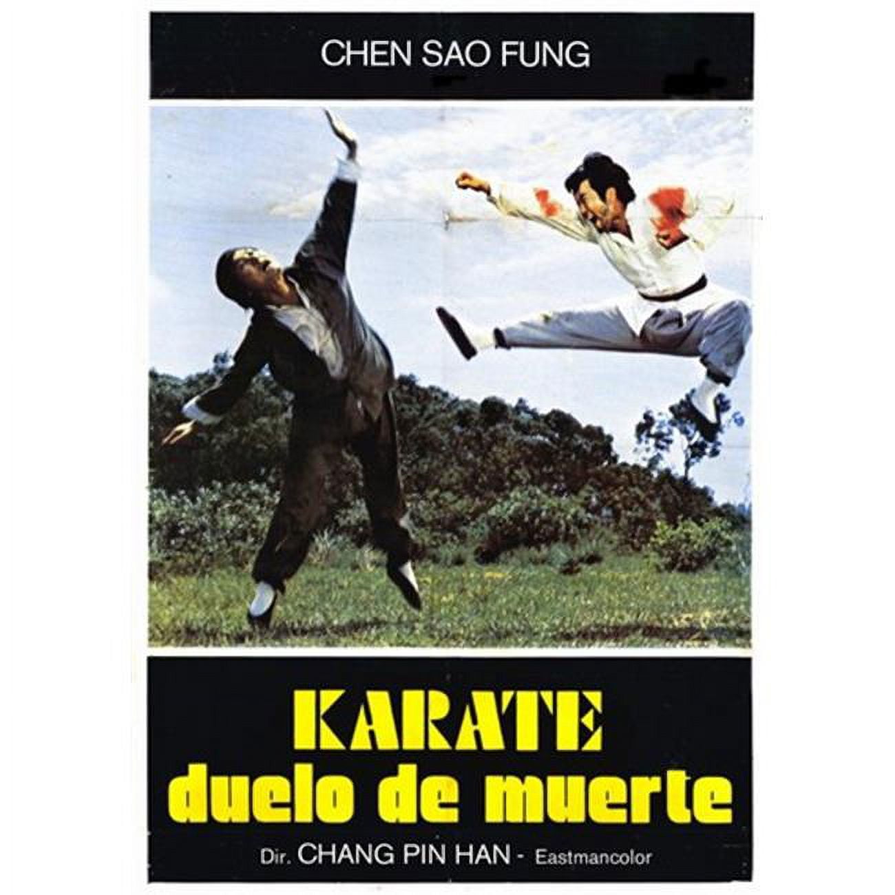 Karate Death Duel Movie Poster - 11 x 17 in. - Walmart.com