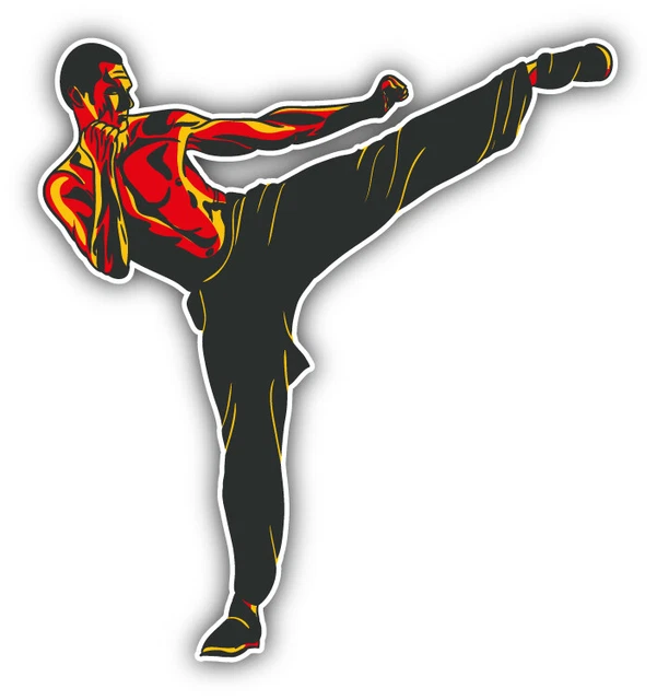 Karate Fighter Car Sticker Phone Decal Water Bottle Stickers Car Decals ...