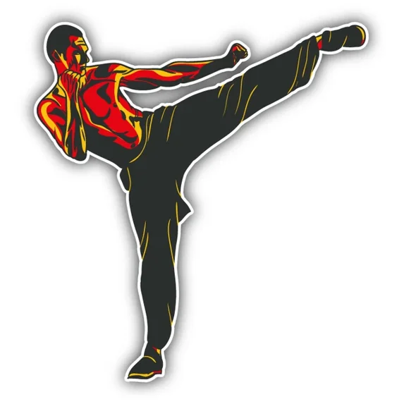 Karate Fighter Car Sticker Phone Decal Water Bottle Stickers Car Decals ...