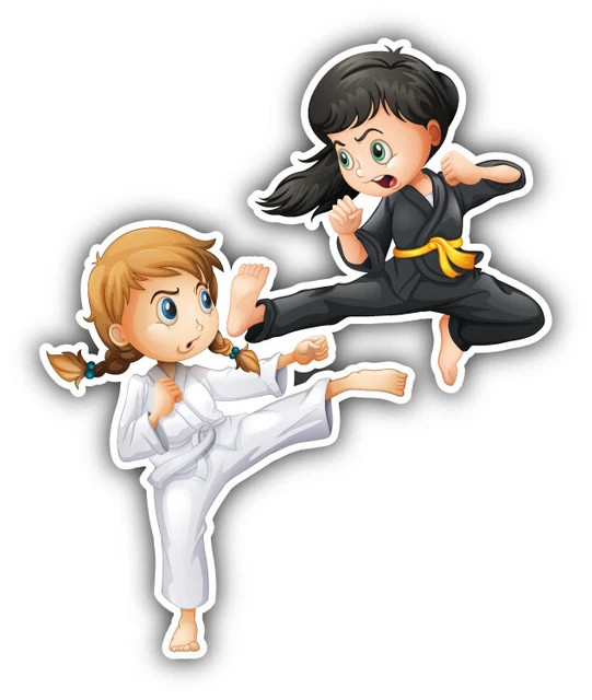 Karate Girls Fight Car Sticker Phone Decal Water Bottle Stickers Car ...