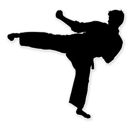 Karate Martial Arts Black Car Sticker Phone Decal Water Bottle Stickers ...