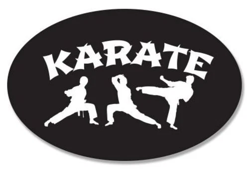Karate Oval Car Sticker Phone Decal Water Bottle Stickers Car Decals ...