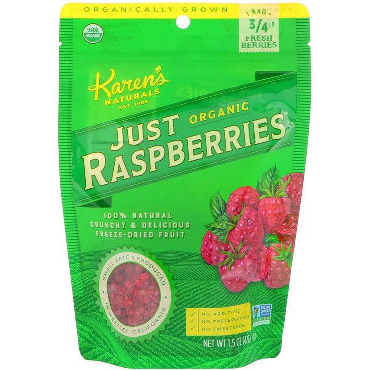 Karen's Naturals, Organic Just Raspberries, 1.5 oz - Walmart.com