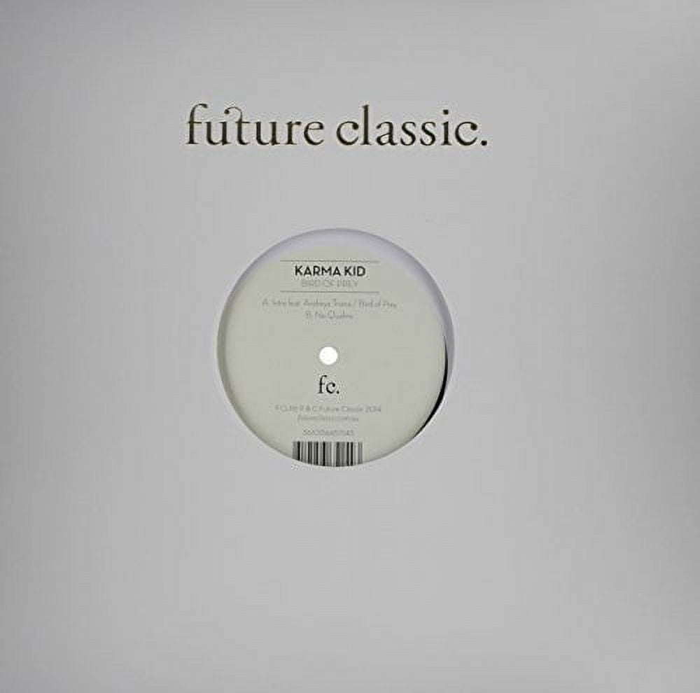 Karma Kid - Bird of Prey - Music & Performance - Vinyl - Walmart.com