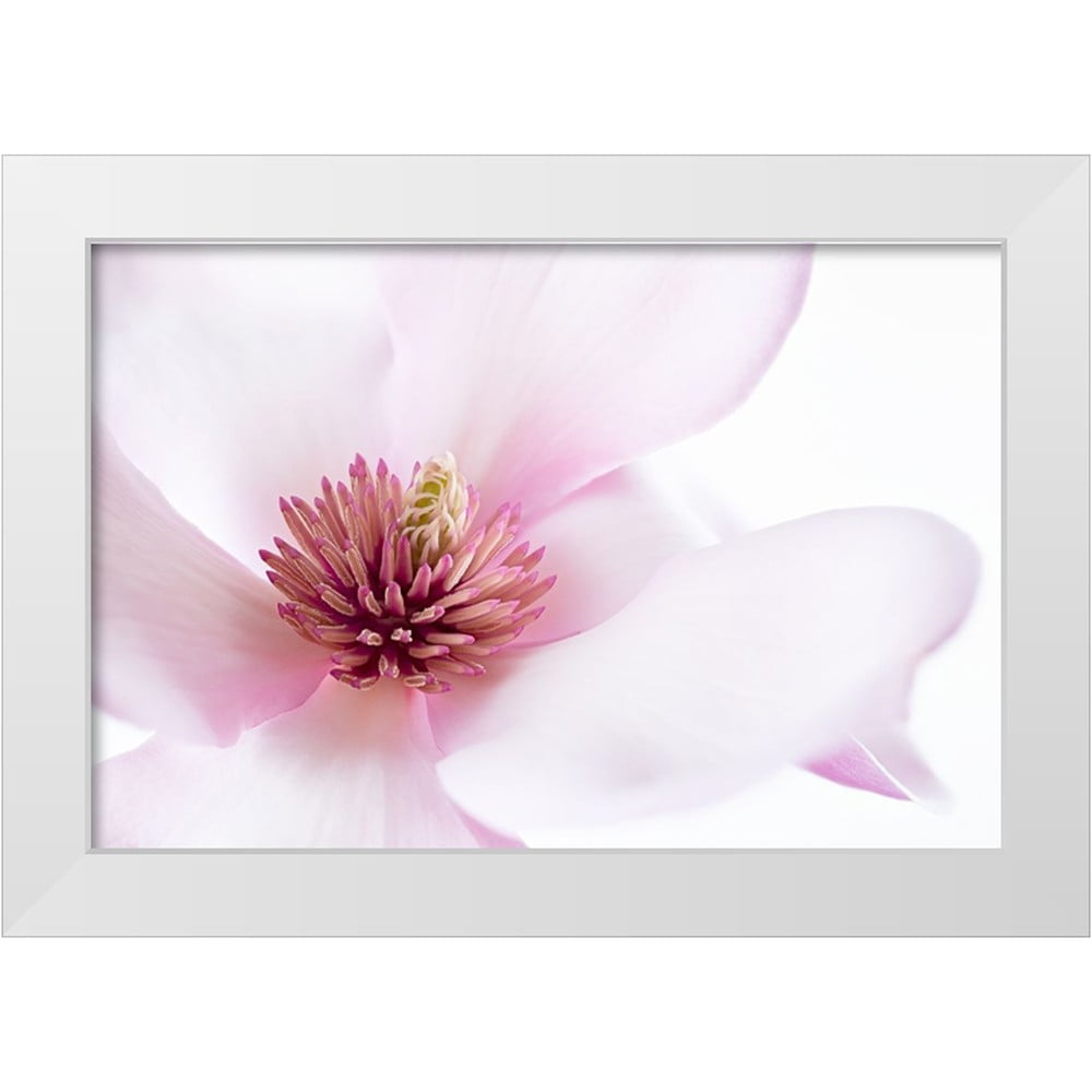 Karpova, Inna 18x13 White Modern Wood Framed Museum Art Print Titled ...