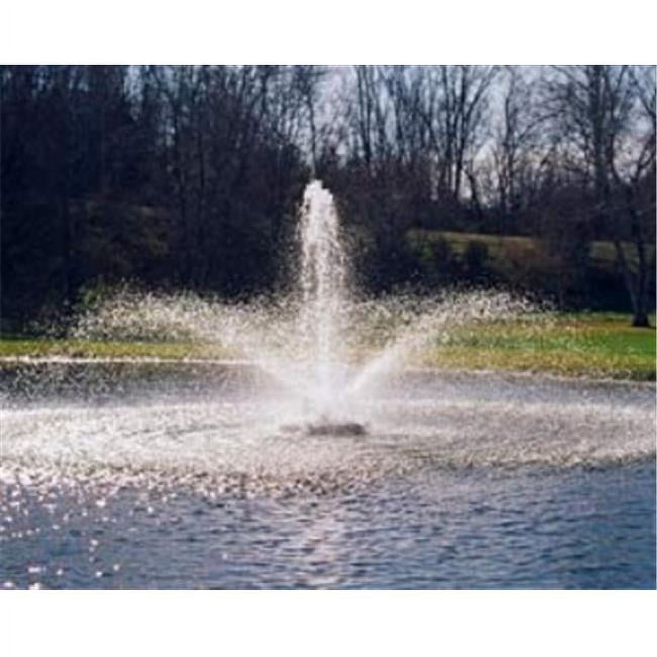 Kasco 3/4 HP J Series Decorative Fountain - 240V with 100 Ft Electric ...