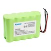 Kastar 1-Pack Ni-MH Battery, 4.8V 3800mAh, Replacement for Mosquito ...